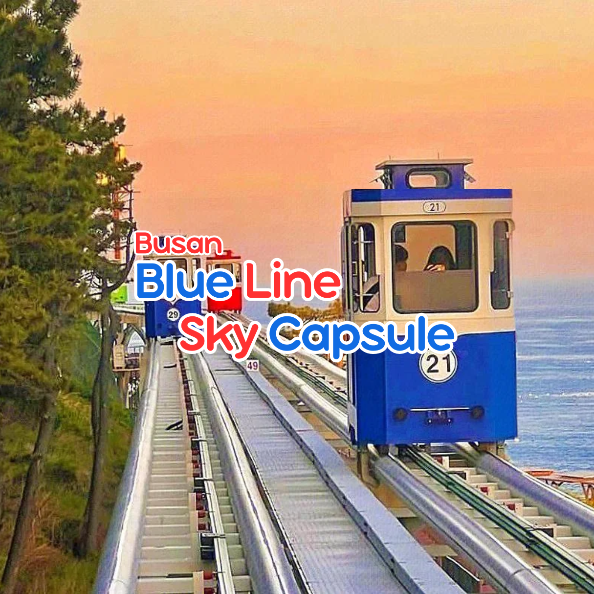 [BUSAN] Blue Line Sky Capsule – SEWA MOBIL KOREA